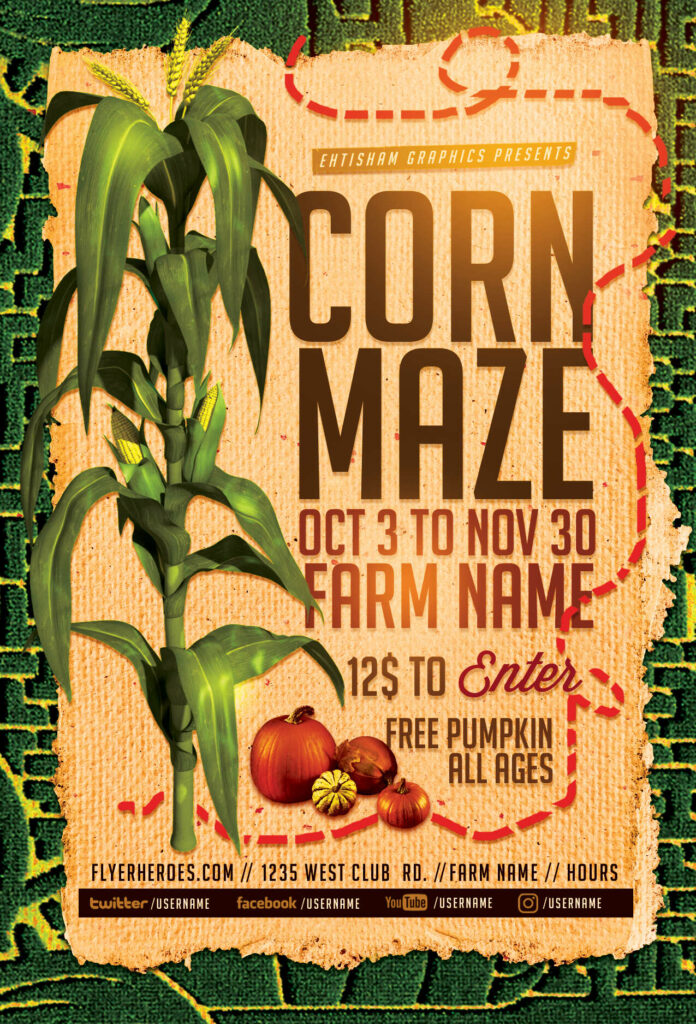 Pumpkin Festival Flayers Designs - MasterBundles