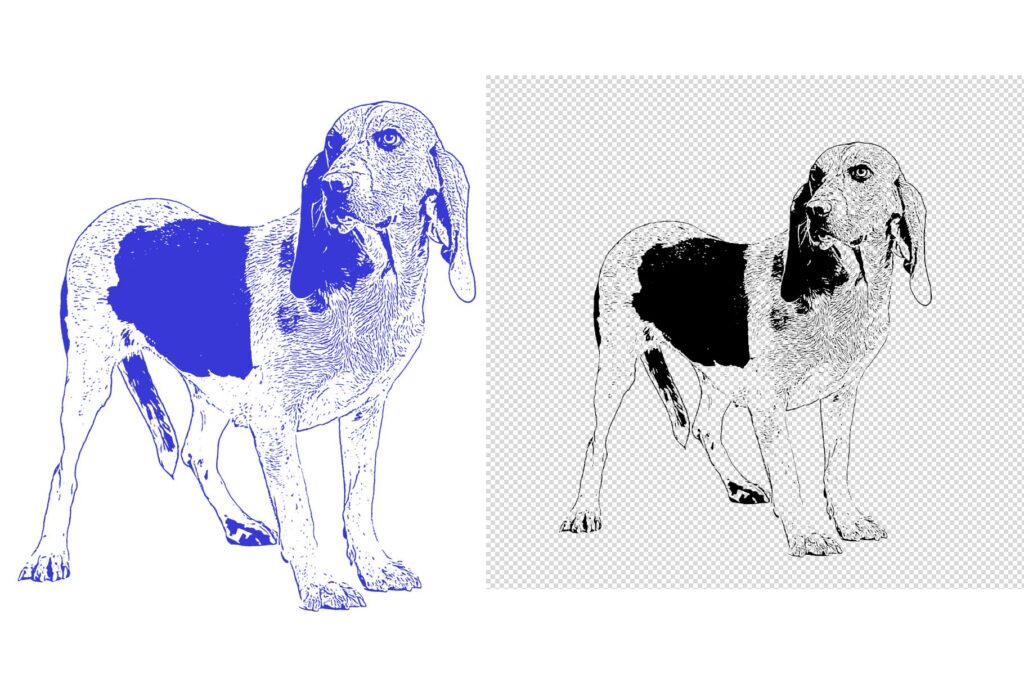 Animal Photo to Tracing - MasterBundles