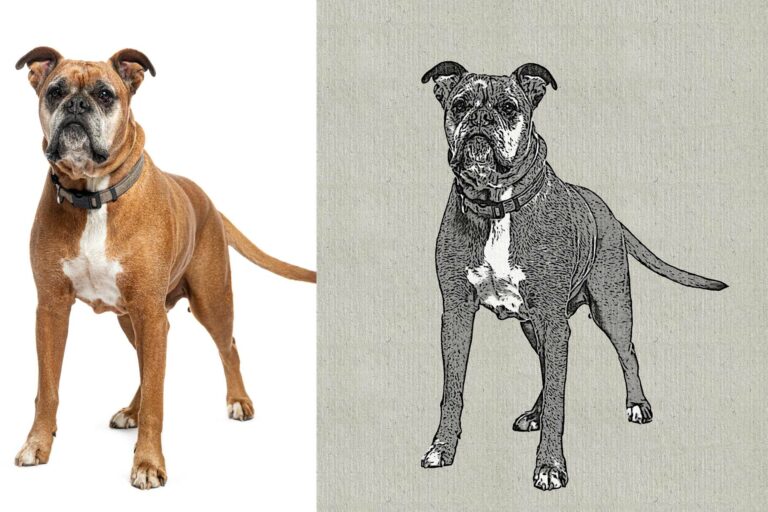 Realistic Ink Drawing Photo Effect - MasterBundles