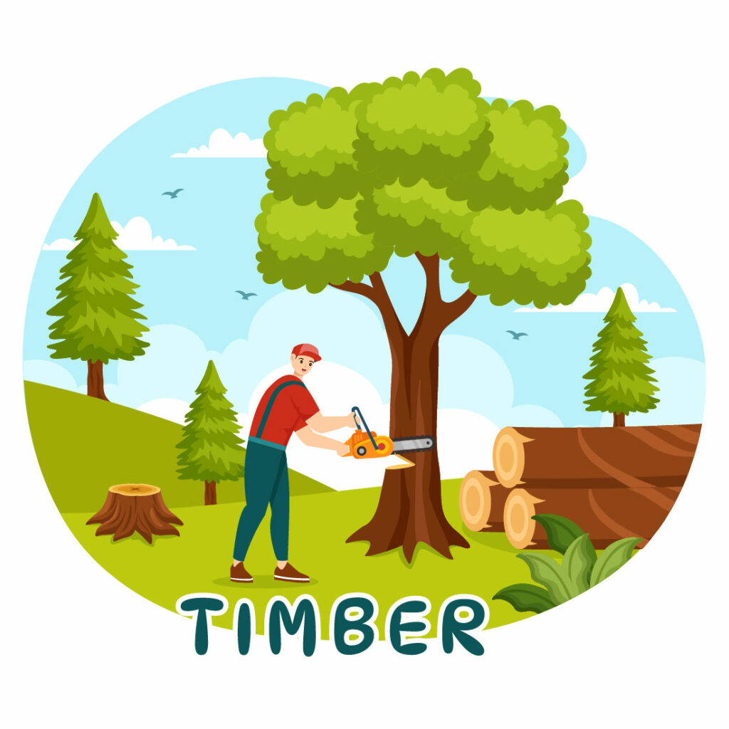 12 Timber Illustration - MasterBundles