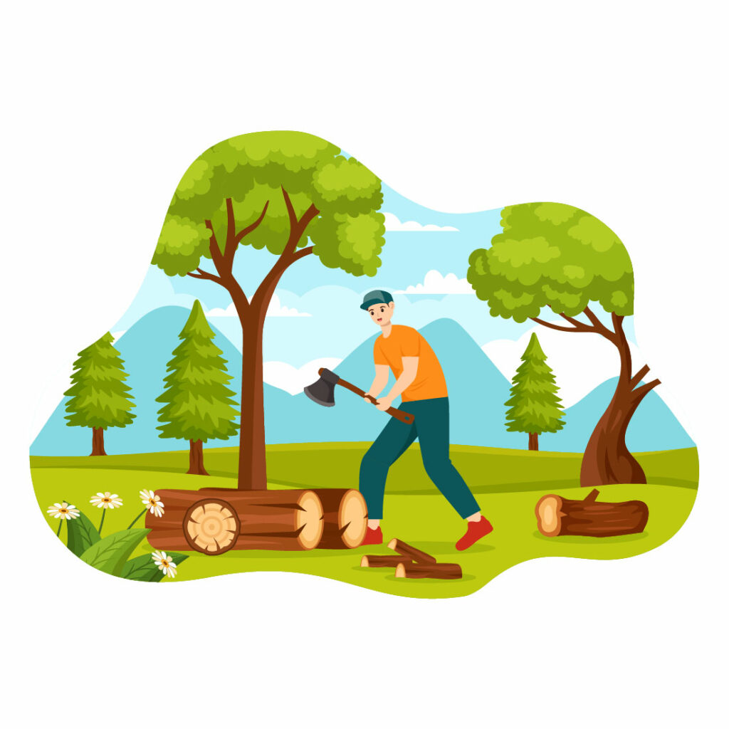 12 Timber Illustration - MasterBundles