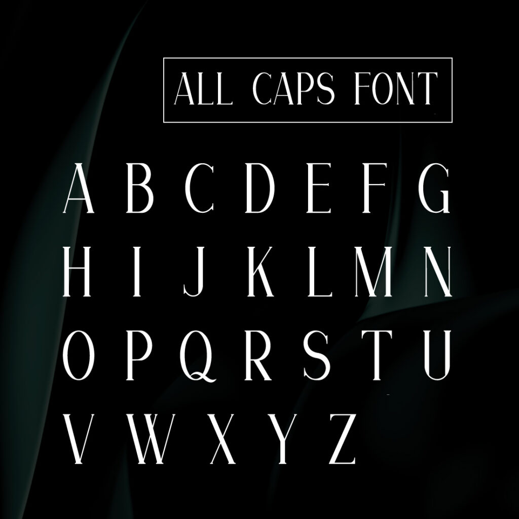 Vanera - Modern Serif Font - MasterBundles