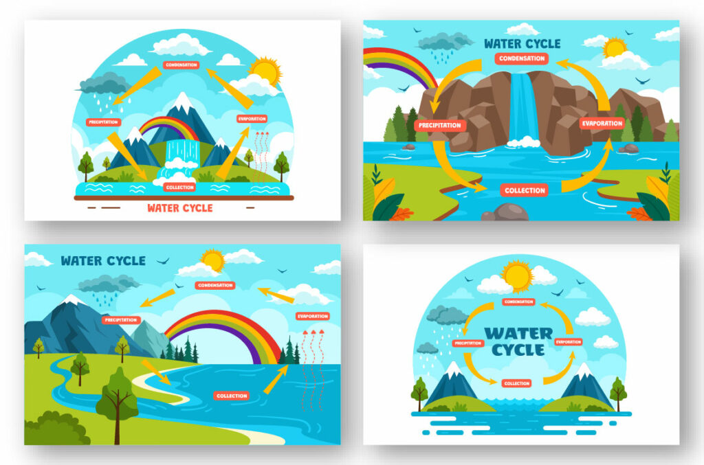 8 Water Cycle Illustration - MasterBundles
