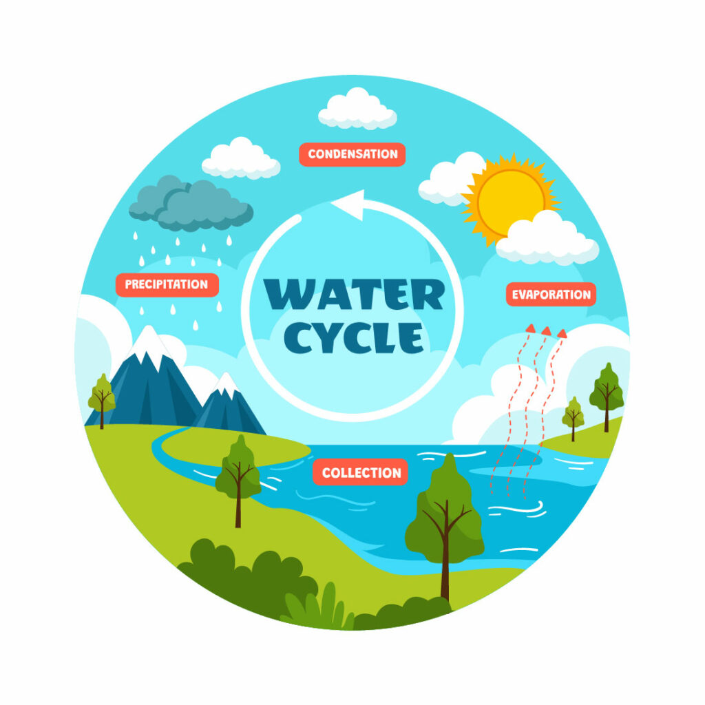 8 Water Cycle Illustration - MasterBundles