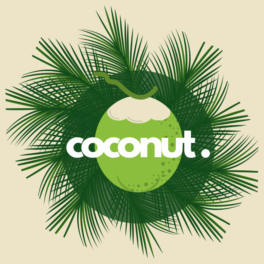 Coconut Logo: Professional Brand Identity Design - MasterBundles