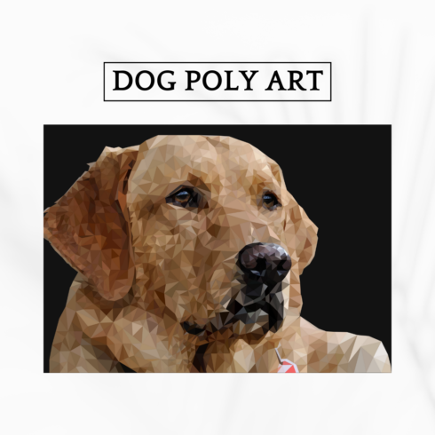 2 POLY ART