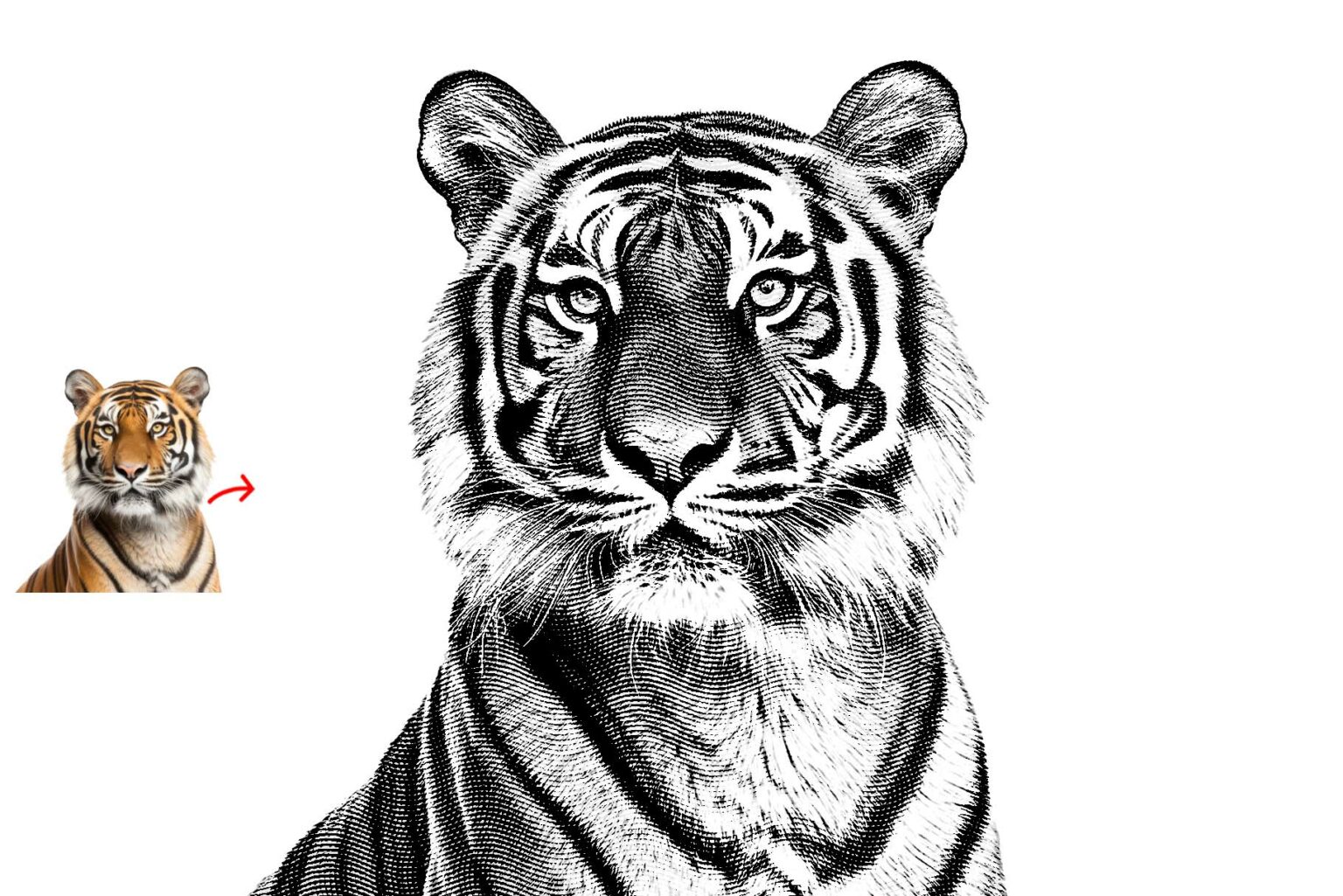 Engraving Studio Photo Effect Photoshop Action - MasterBundles