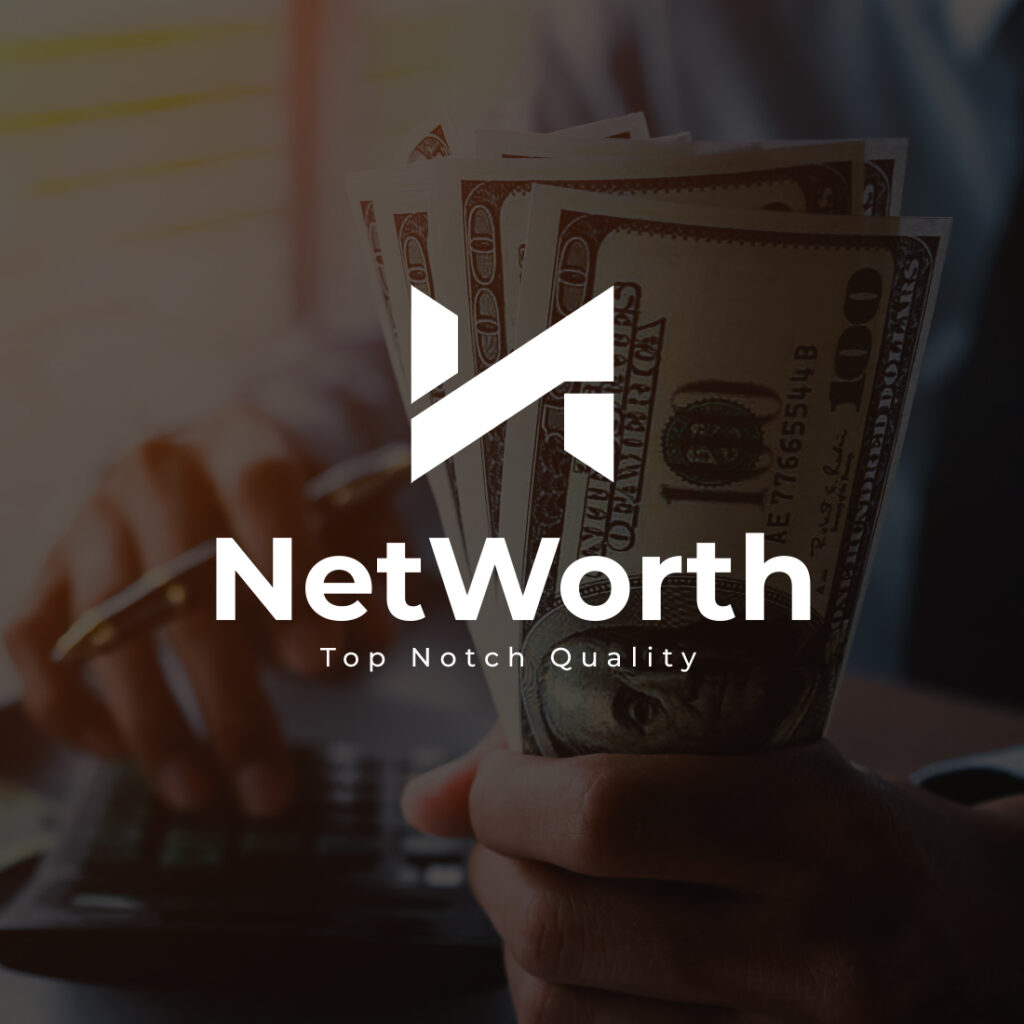 Networth logo Design template
