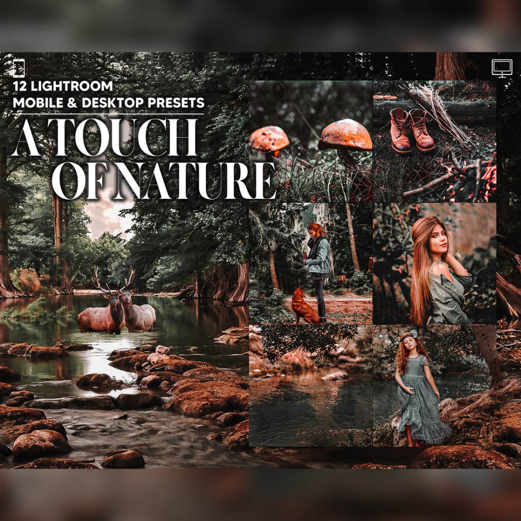 12 A Touch Of Nature Lightroom Presets, Autumn Mobile Preset, Fall ...