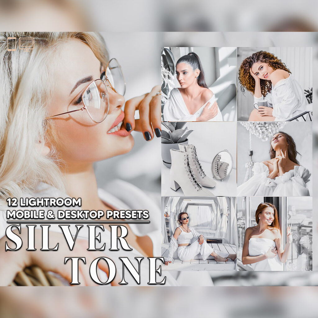 12 Silver Tone Lightroom Presets, Gray Clean Mobile Preset, Luxury ...