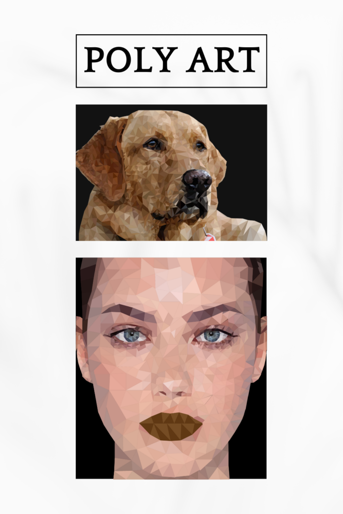 2 POLY ART