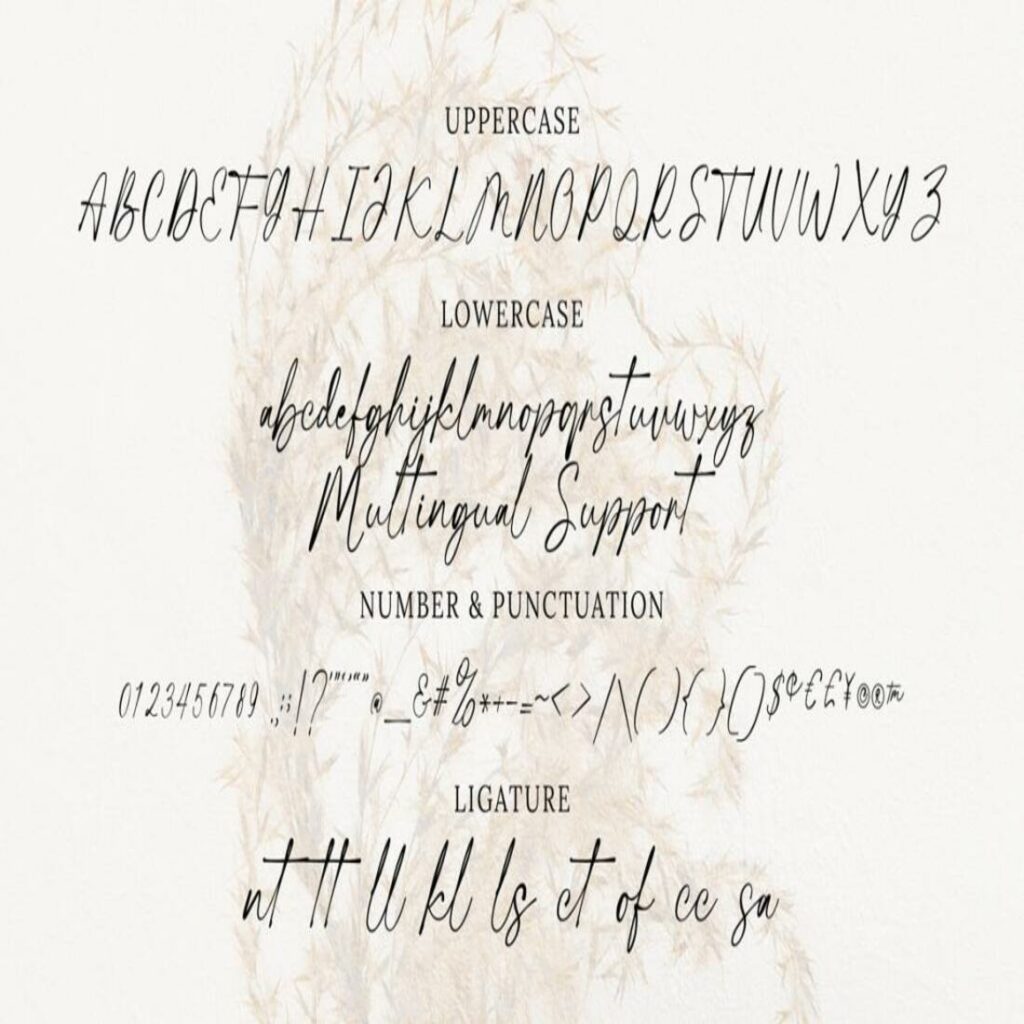 Rochetha - MasterBundles