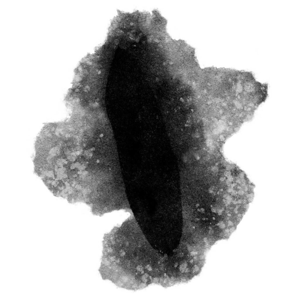 Mystic Ink Shapes - MasterBundles