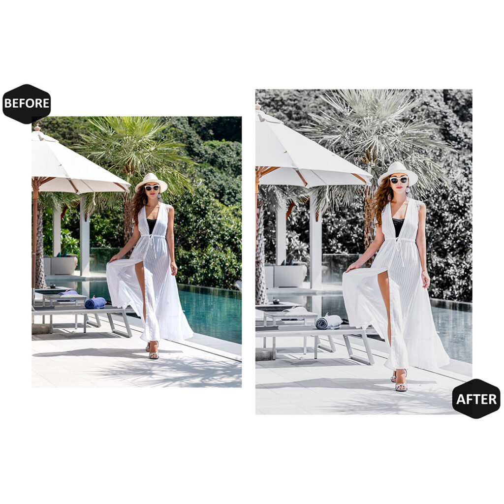 12 Photoshop Actions, Silver Tone Ps Action, Gray Clean ACR Preset ...
