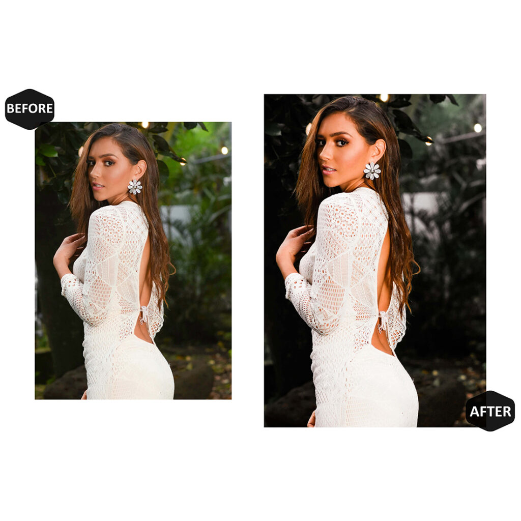 10 Photoshop Actions, Lavish Mood Ps Action, Lifestyle ACR Preset, Lux ...