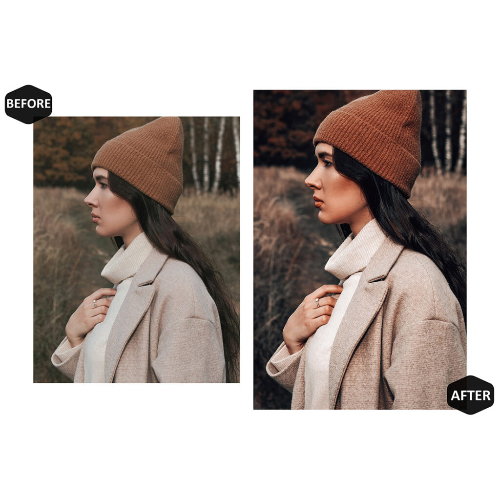12 Photoshop Actions, Harvest Ps Action, Autumn ACR Preset, Moody Fall ...