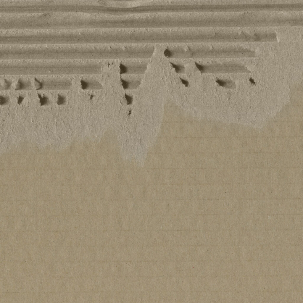 Damaged Cardboard Textures - MasterBundles