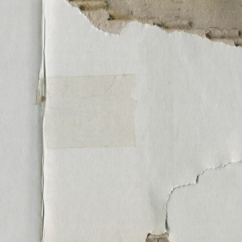 Damaged Cardboard Textures - MasterBundles