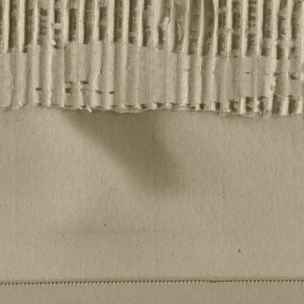 Damaged Cardboard Textures - MasterBundles
