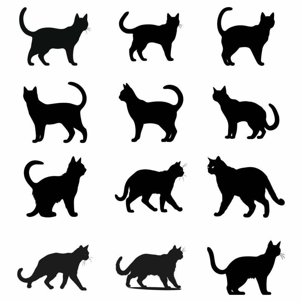 ute Cat Bundle animal vector, Cat silhouettes and icons - MasterBundles