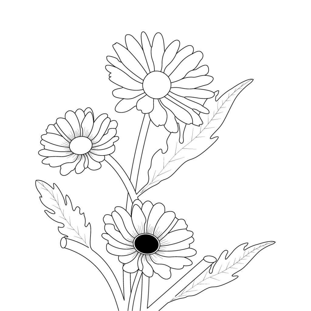 Daisy flower coloring Page Bouquet Line Art - MasterBundles