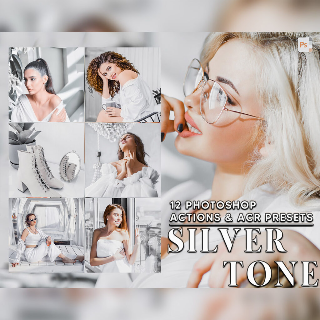 12 Photoshop Actions, Silver Tone Ps Action, Gray Clean ACR Preset ...