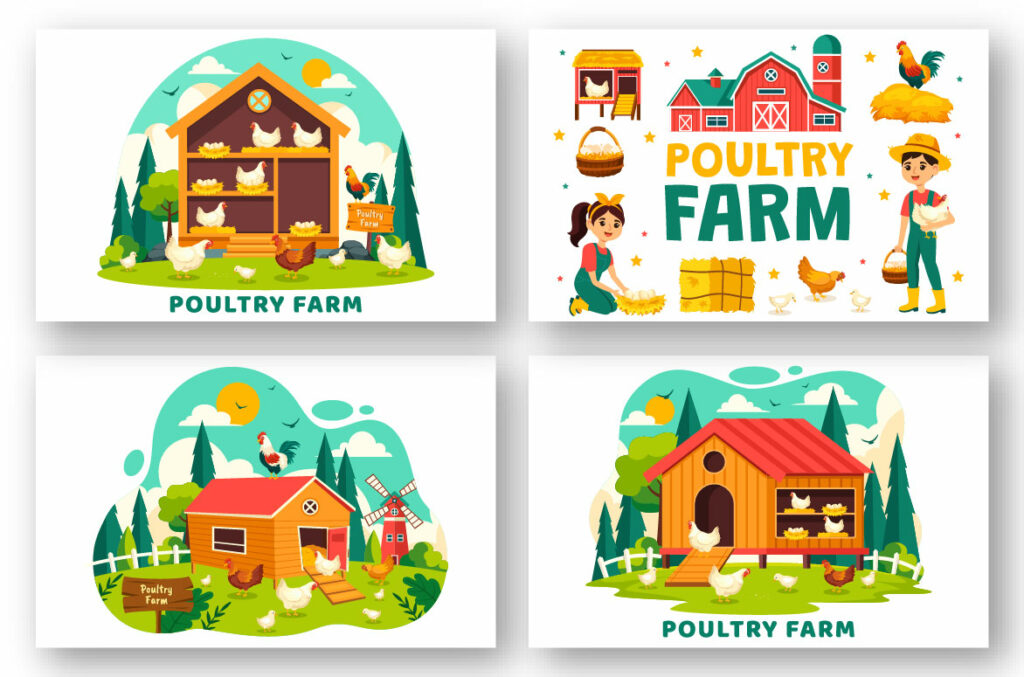 12 Poultry Farm Illustration - MasterBundles