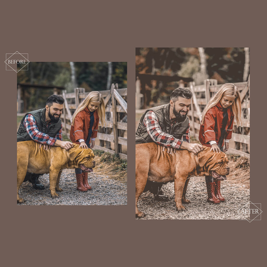 20 Western Farm Photoshop Actions, Color Grad ACR Preset, Rustic Filter ...
