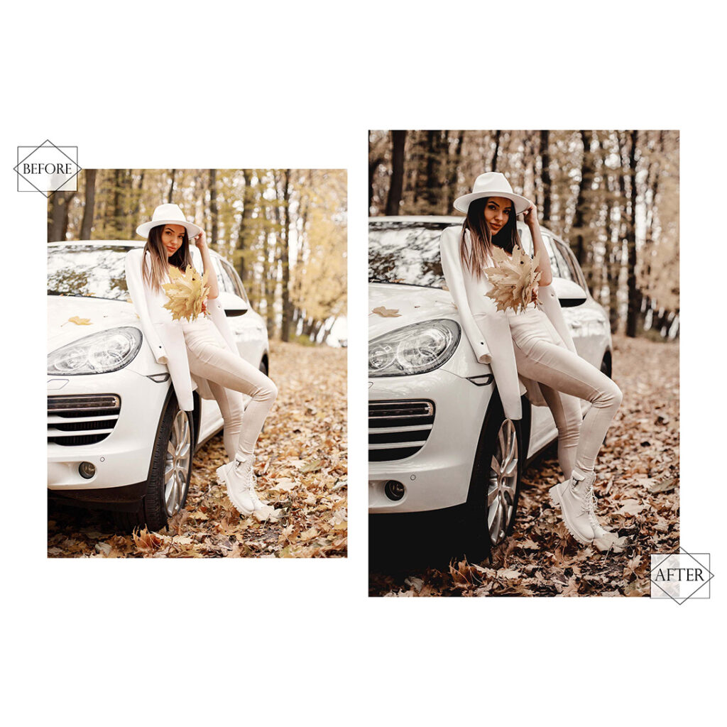 12 Photoshop Actions, Dance Of The Leaves Ps Action, Moody ACR Preset ...