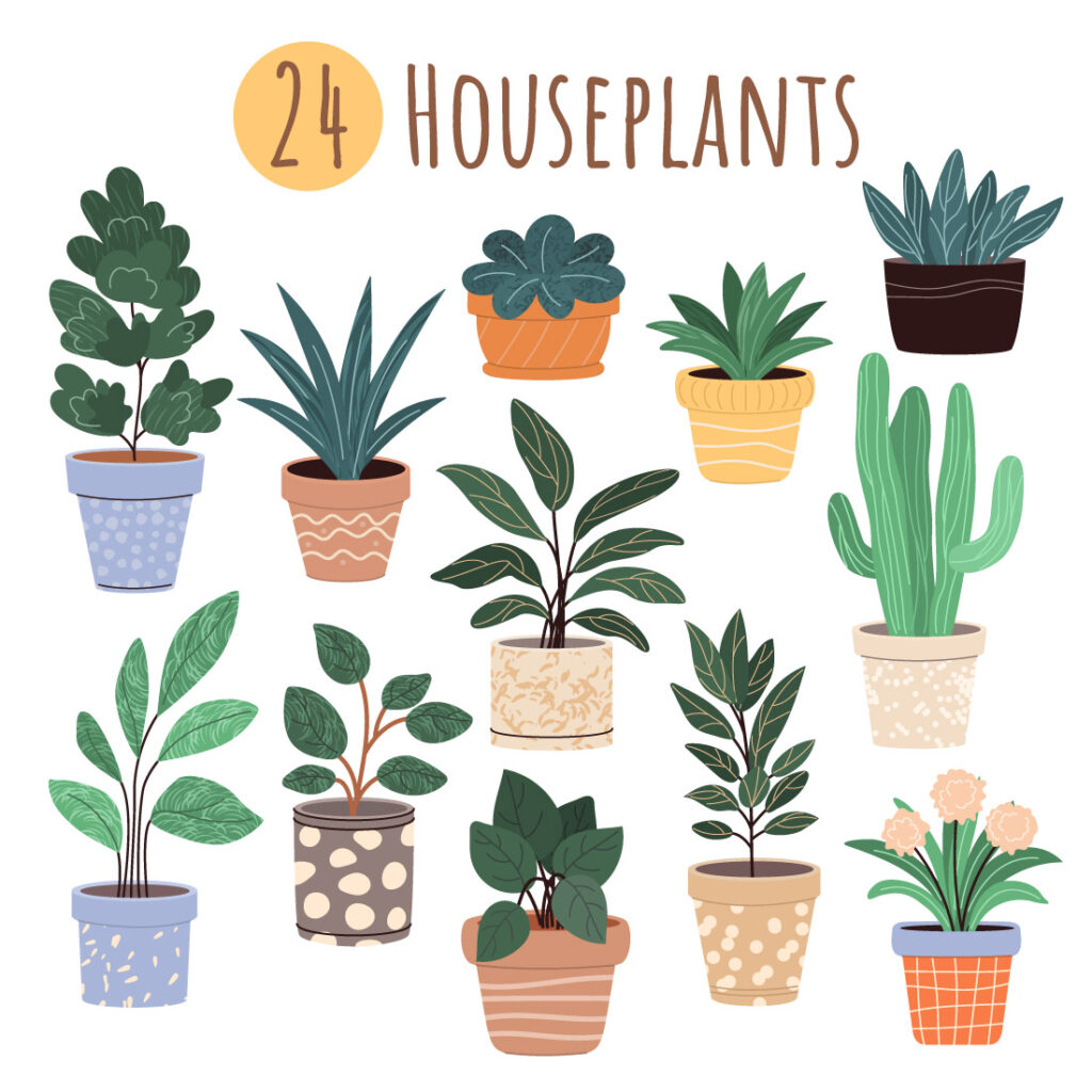 Vector Houseplants Set - 24 Illustrated Indoor Plants in Pots