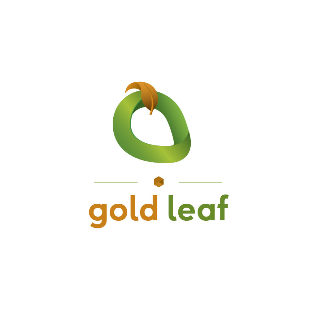 Maple Leaf Logo Vector Design - MasterBundles