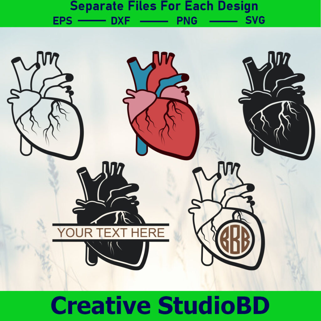 Realistic Heart SVG Bundle, Anatomical Heart Svg, Cardiology Svg, Heart ...