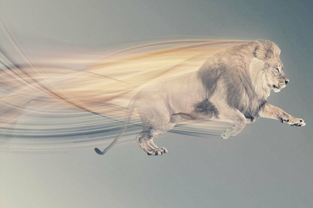 Light Trails Effect Photoshop Action - MasterBundles