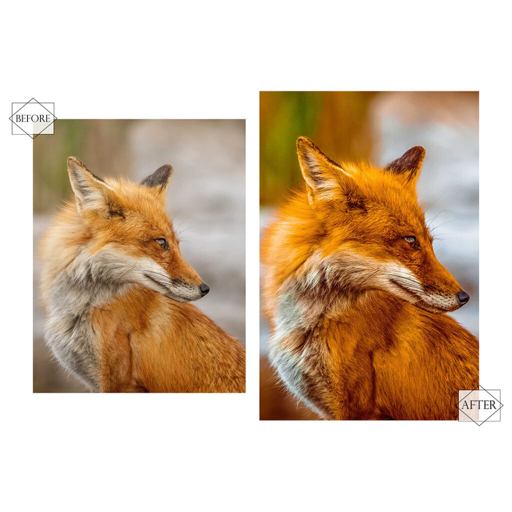 12 Photoshop Actions, Live Detail Ps Action, HDR ACR Preset, Saturation ...