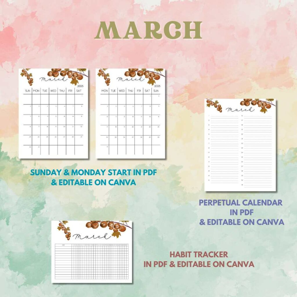 2025 Calendar Template - Editable on Canva - MasterBundles