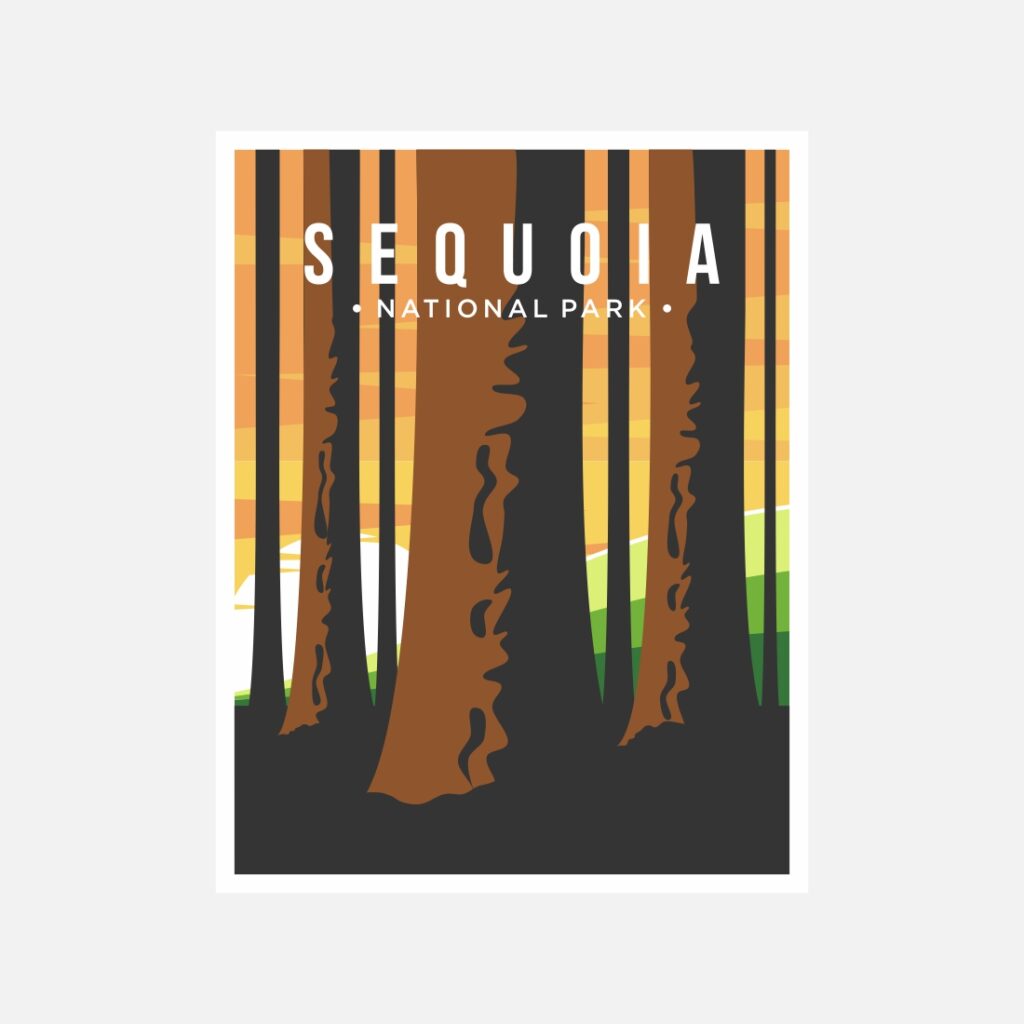 Sequoia National Park poster vector illustration design – Only $8