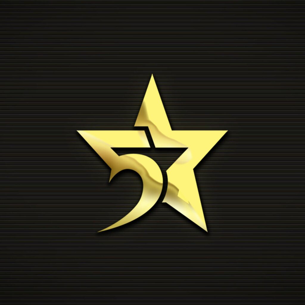 Modern letter 5 star Conceptual shape unique logo - MasterBundles