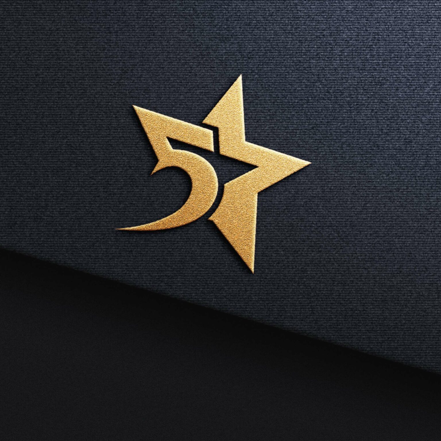 Modern letter 5 star Conceptual shape unique logo - MasterBundles