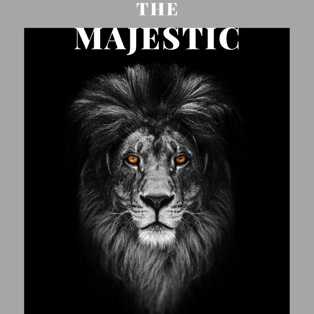 The Majestic Design SVG, PNG - MasterBundles