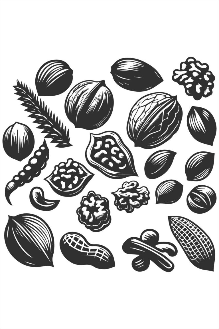 A black and white bold line and silhouette design of various nuts and ...