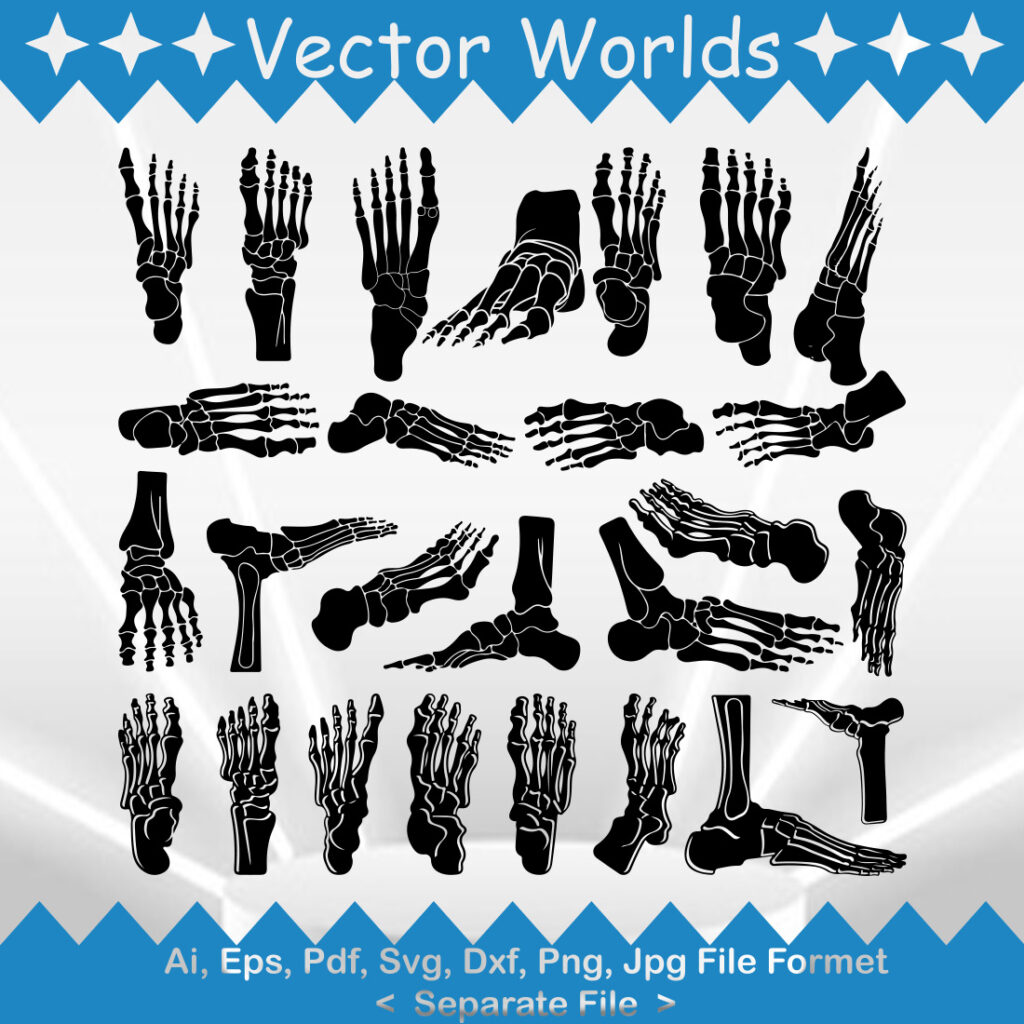 Human Foot Anatomy SVG Vector Design - MasterBundles