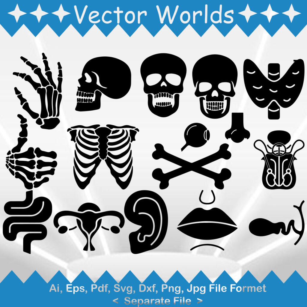 Human Anatomy SVG Vector Design - MasterBundles