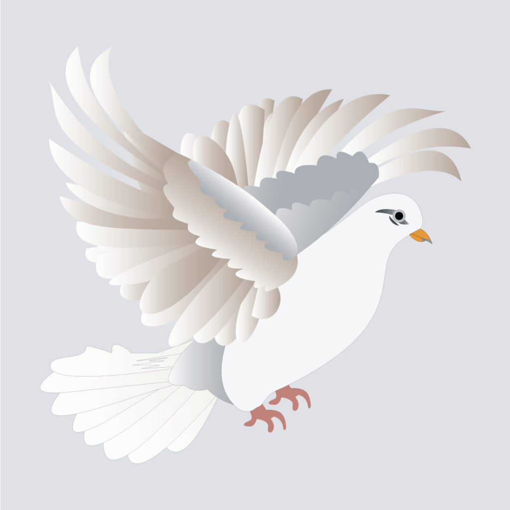 Dove bird vector - MasterBundles