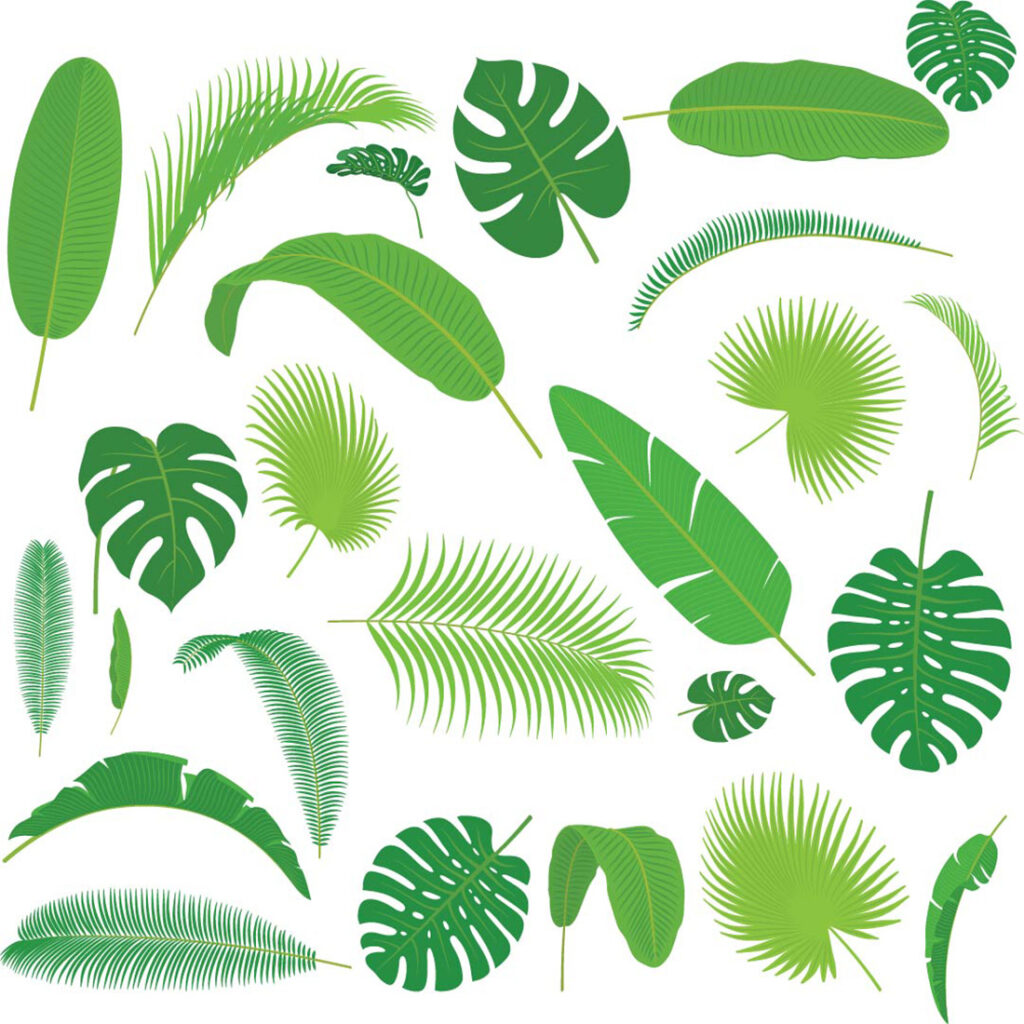 🌿 12 Incredible Leaves Patterns Collection