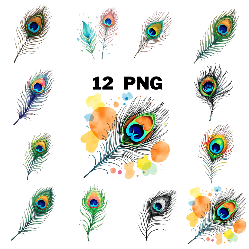 Watercolor Peacock Feathers Sublimation Clipart Bundle – MasterBundles