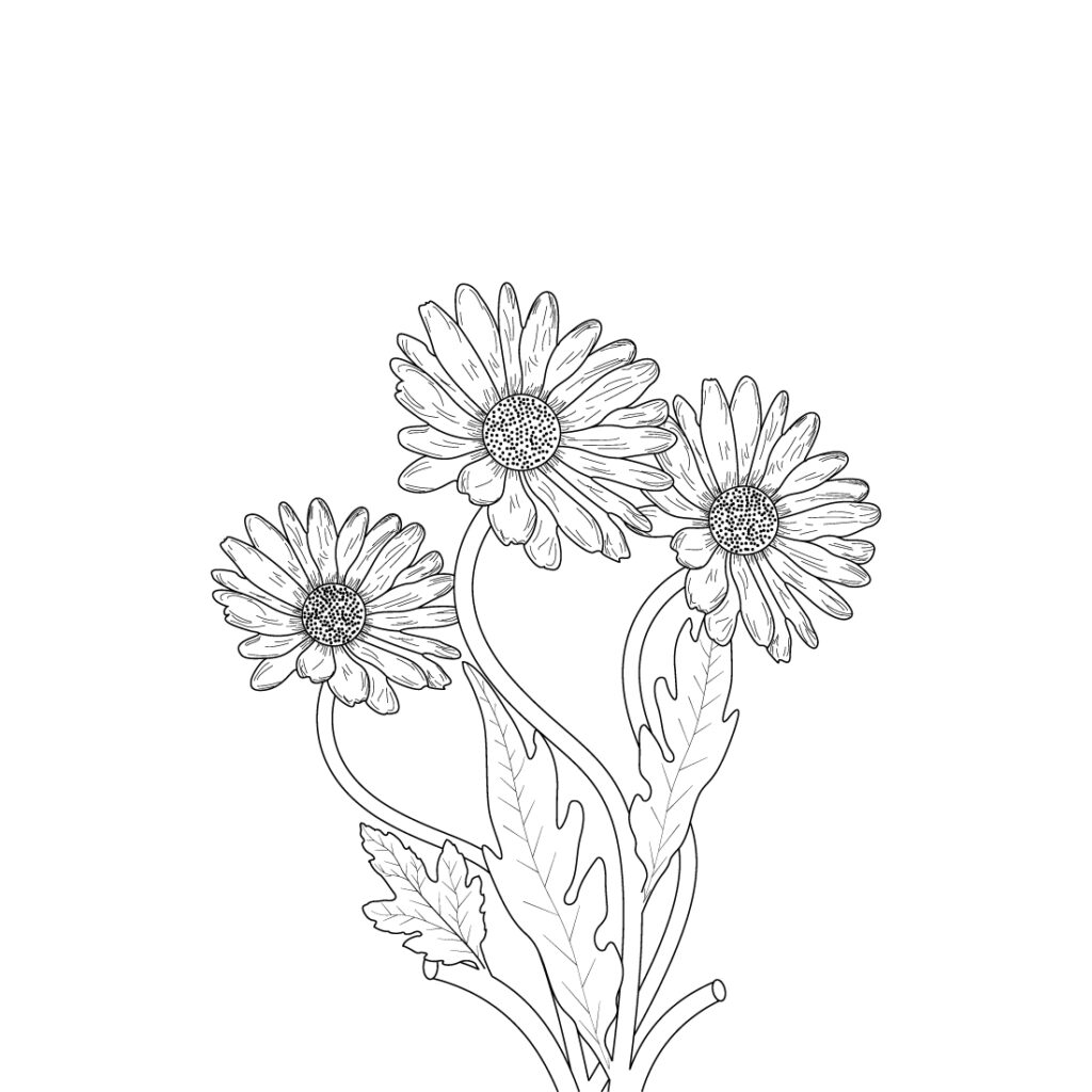 Daisy Flower Coloring Page Adults - MasterBundles