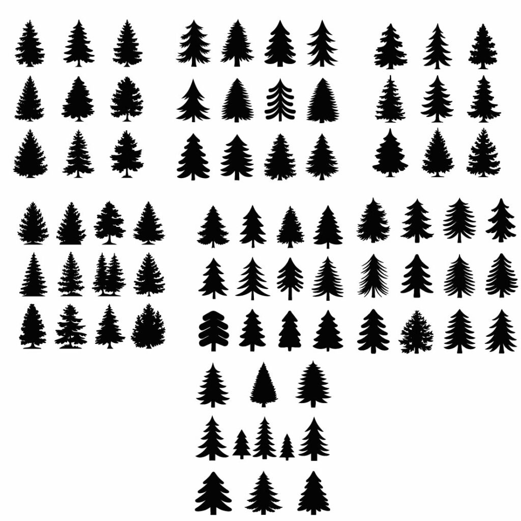 Vector Silhouettes of 26 Unique Pine Trees - MasterBundles