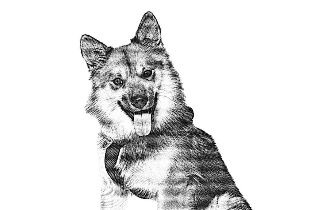 Hatching Sketching Photoshop Action - MasterBundles