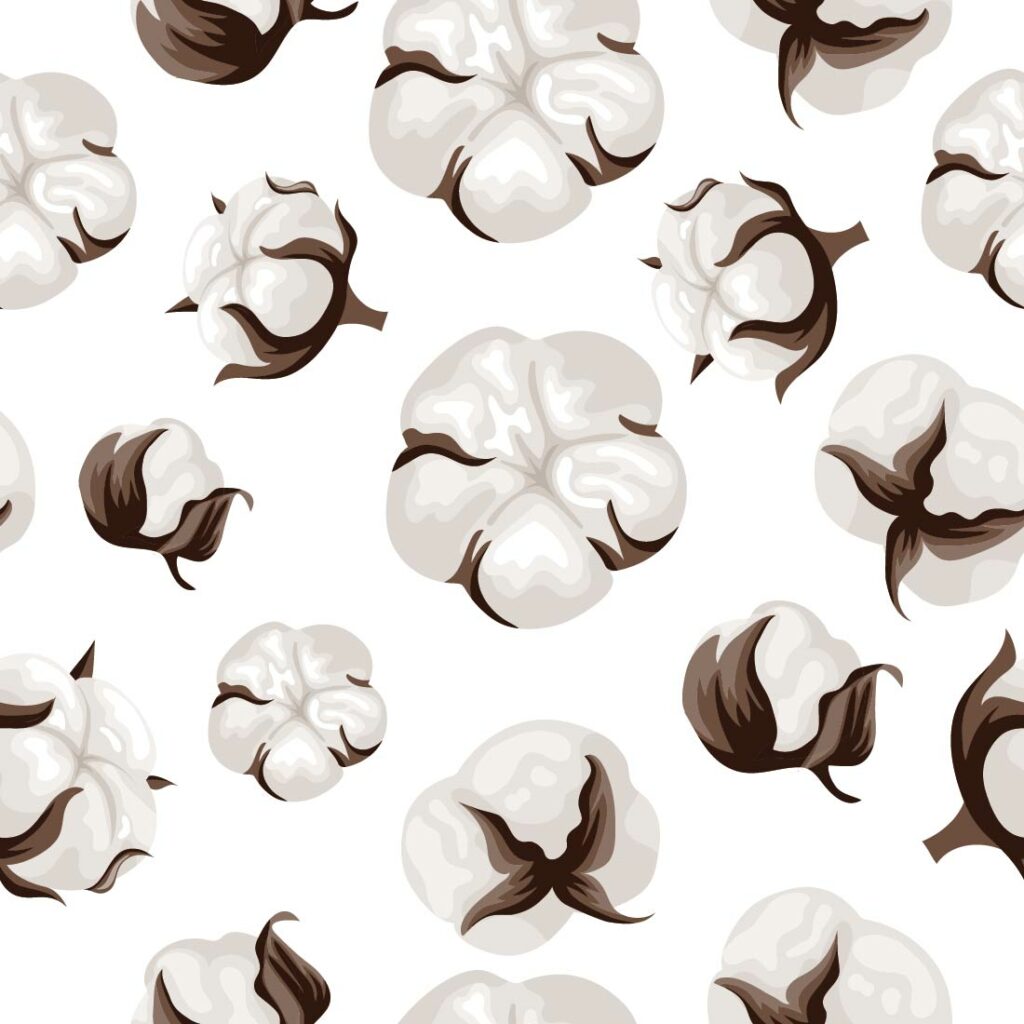 5 Seamless patterns with cotton flowers of different shapes - MasterBundles