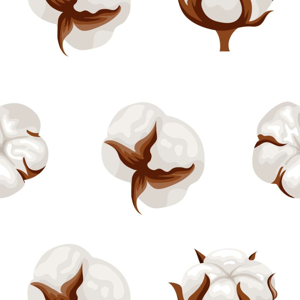 5 Seamless patterns with cotton flowers of different shapes - MasterBundles